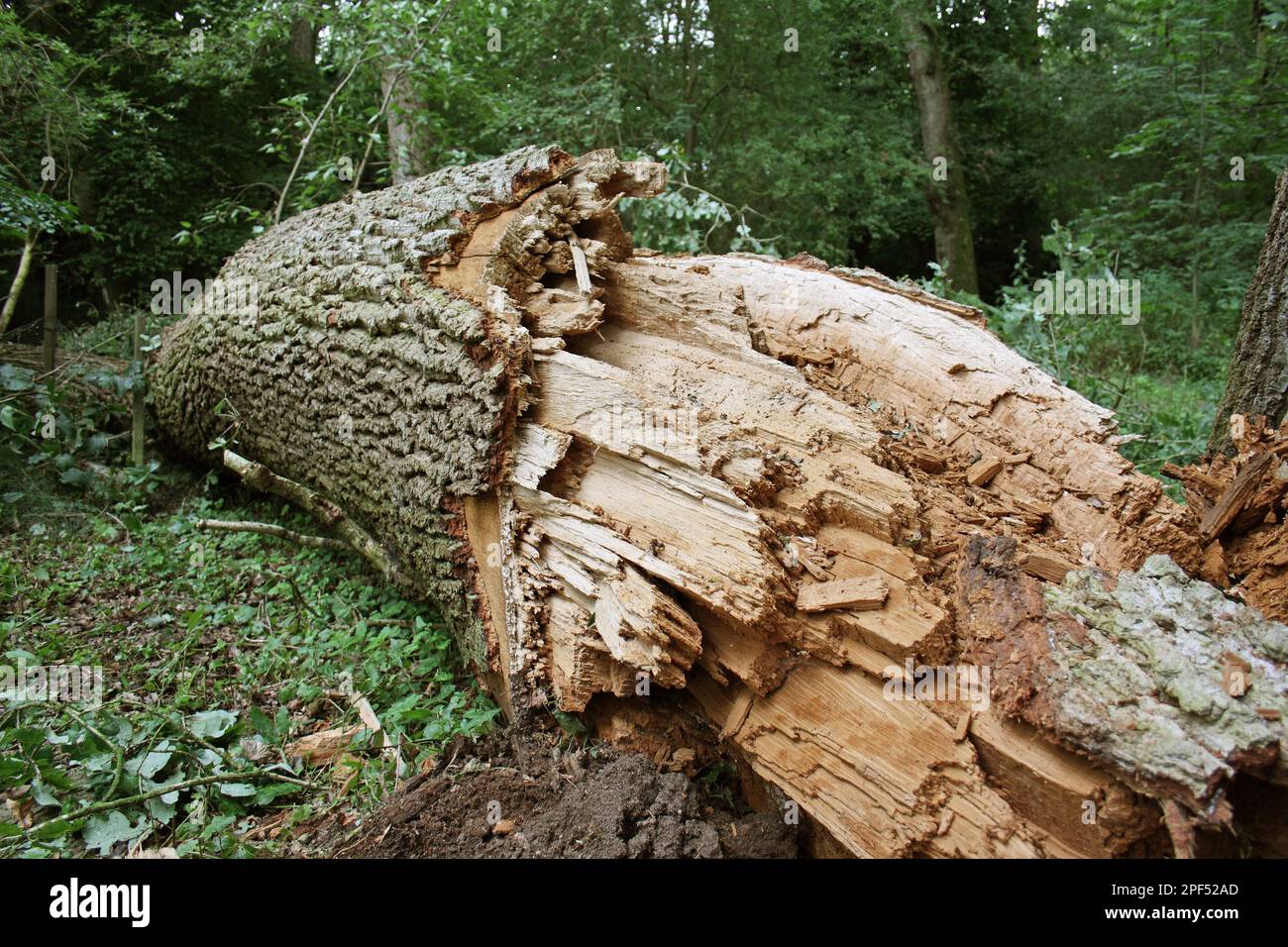 Thornham magna estate hi-res stock photography and images - Alamy