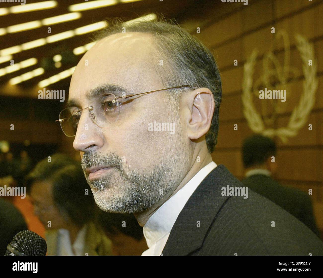 Leader of the Iranian delegation Ali Akabar Salehi arrives for the ...