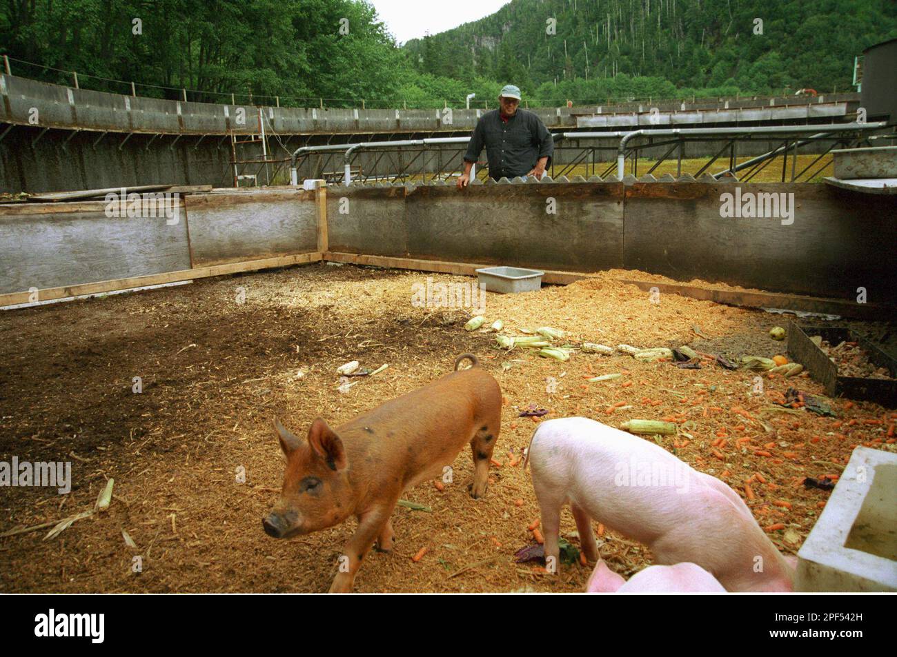 Hunting guide Les Kinnear, president of Fortress of the Bear, checks ...