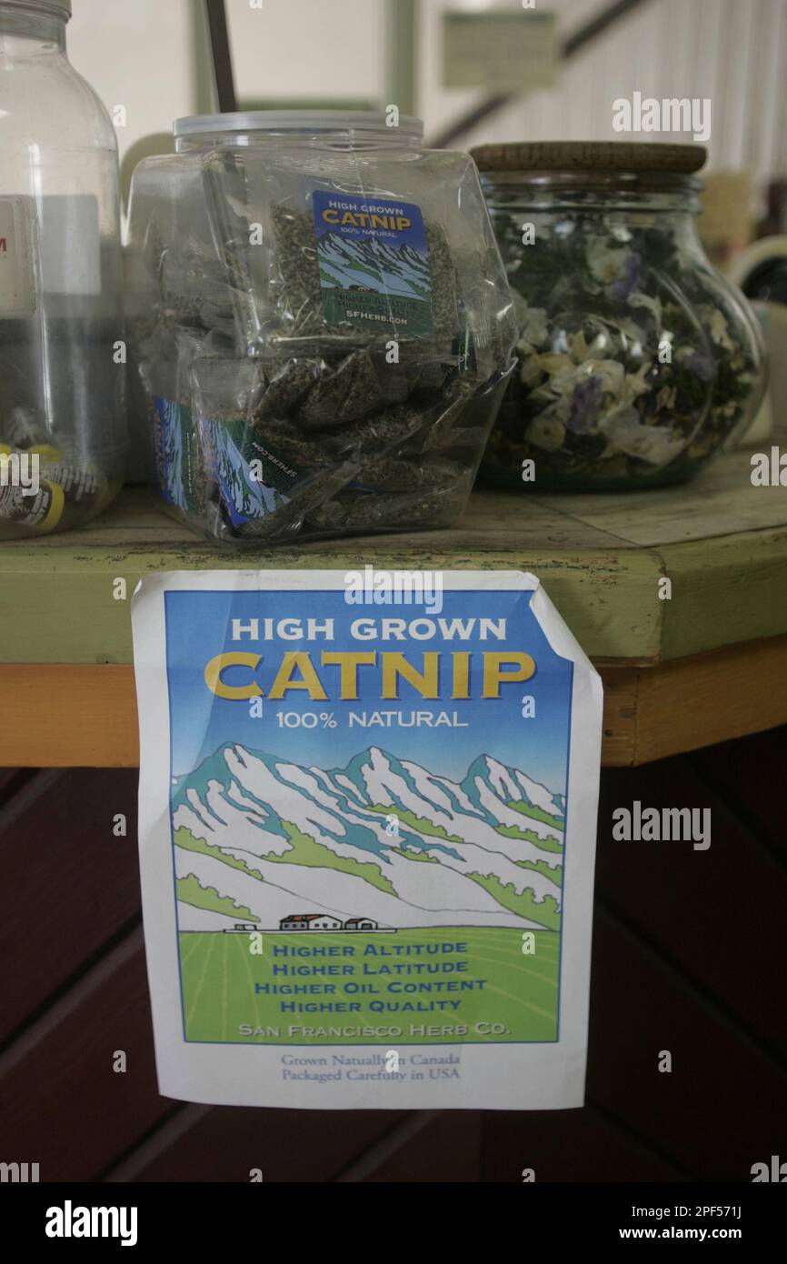 catnip13 026ls.JPG Cat nip display at the counter of the San Francisco ...