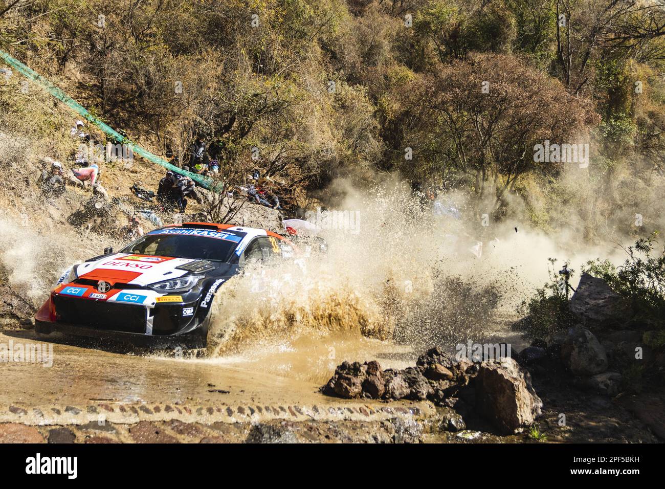 33 Elfyn EVANS (GBR), Scott MARTIN (GBR), TOYOTA GAZOO RACING WRT ...
