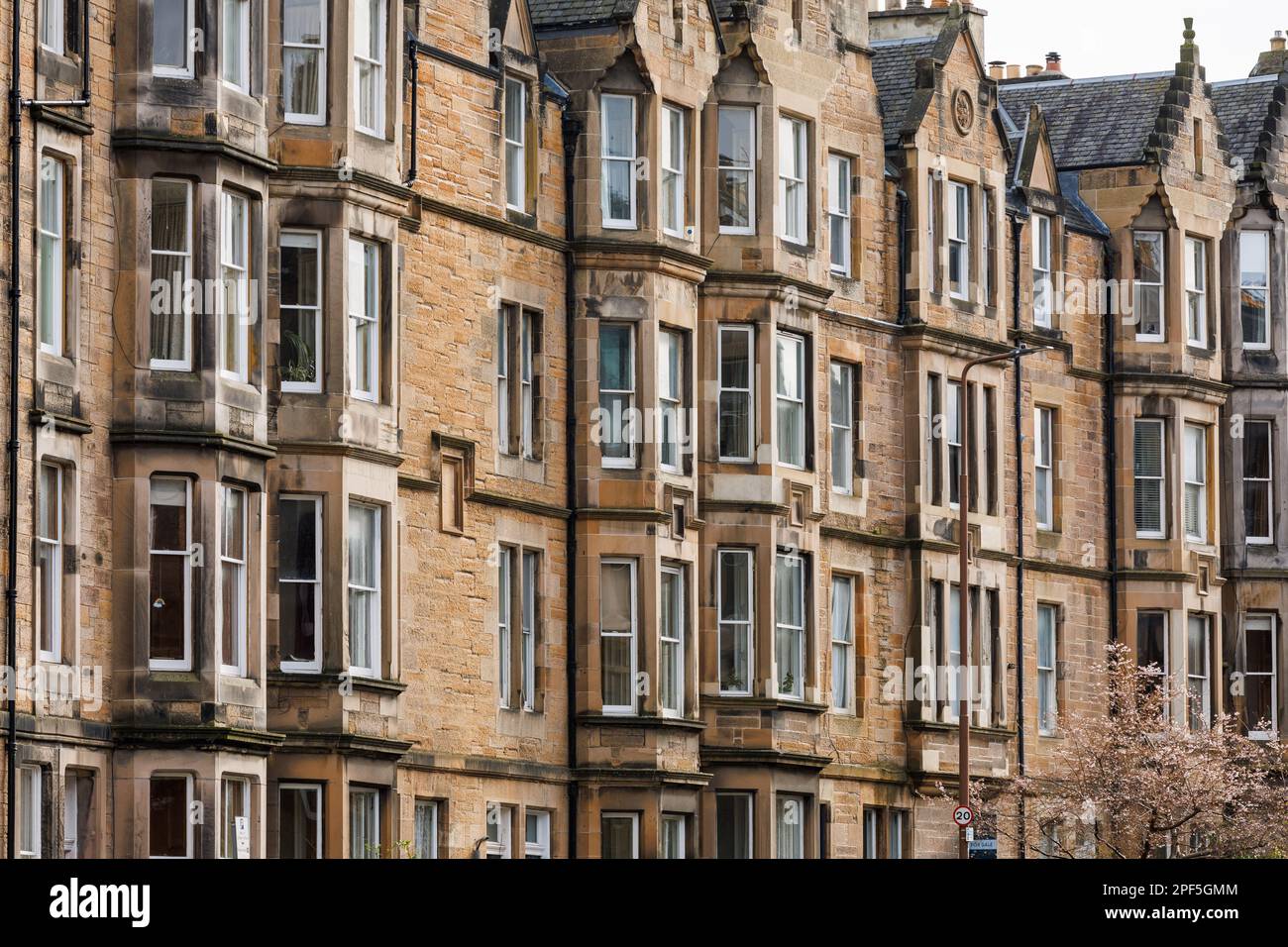 Tenement housing in Marchmont, City of Edinburgh Stock Photo - Alamy