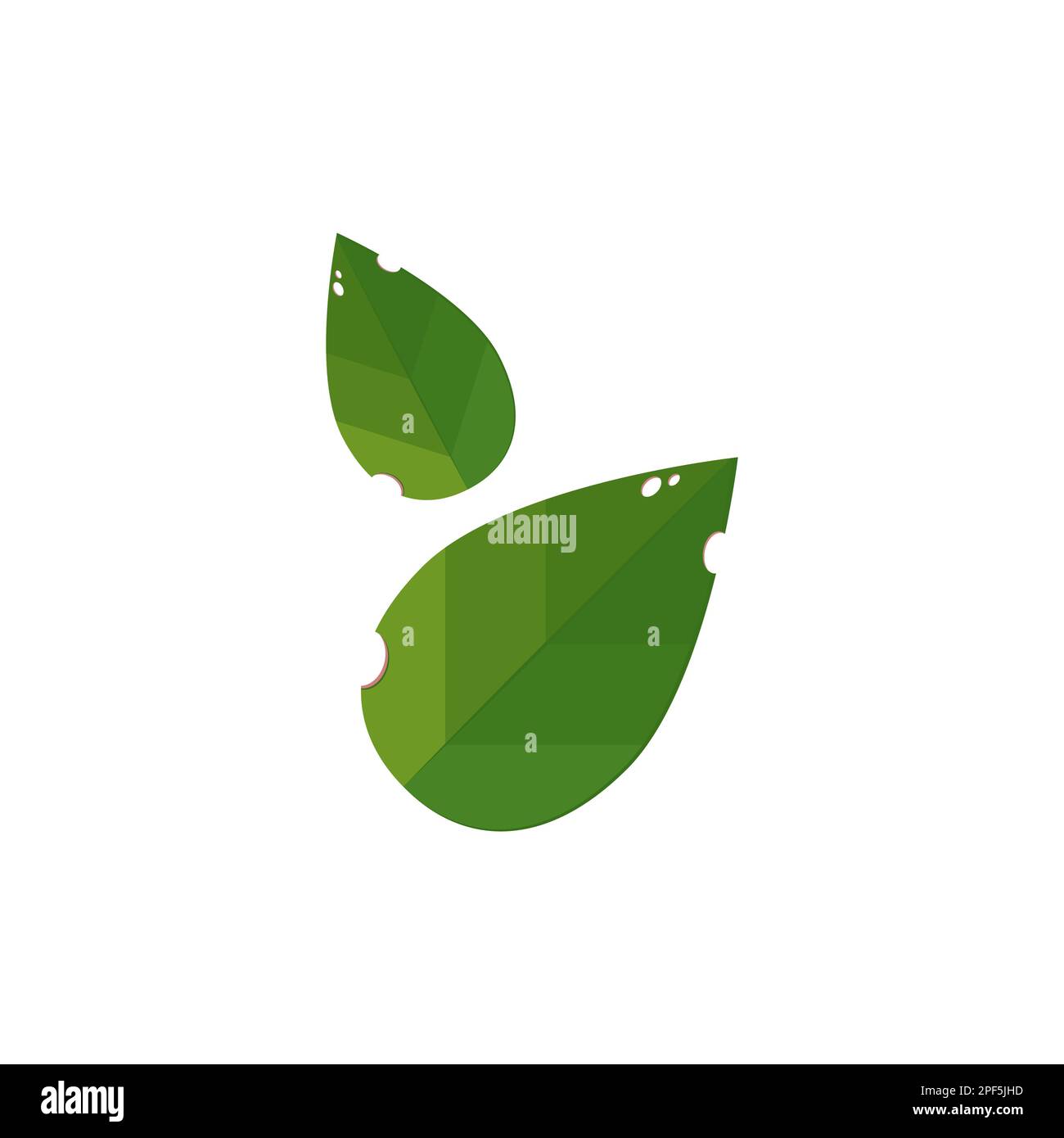 House plants. individual leaves, separate branch with leaves, Design ...