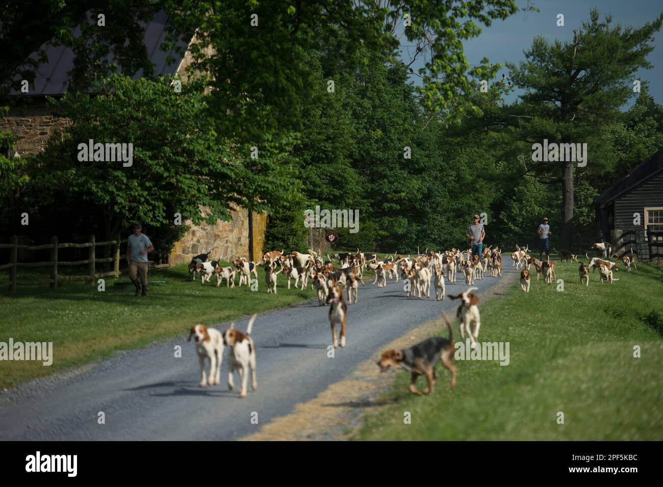 George carter walk hi-res stock photography and images - Alamy