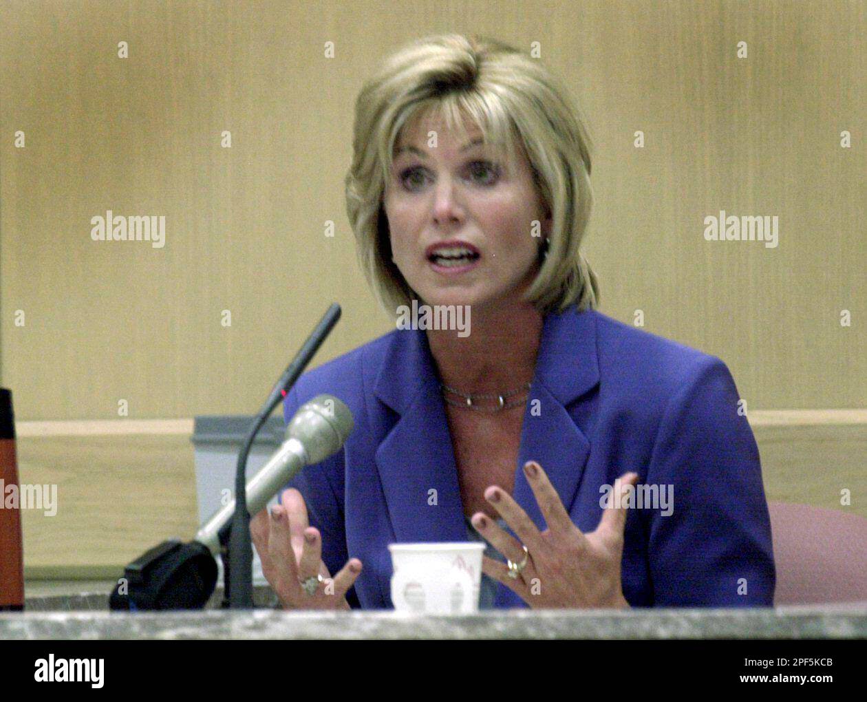 Kristi Krueger, an evening news anchor at WPLG, Miami's ABC affiliate ...