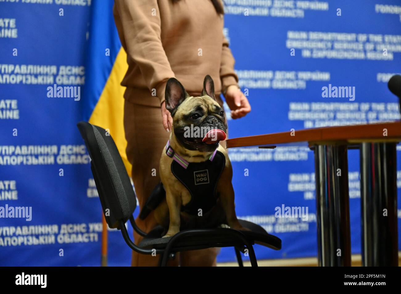 Ukraine family rubble hi-res stock photography and images - Alamy