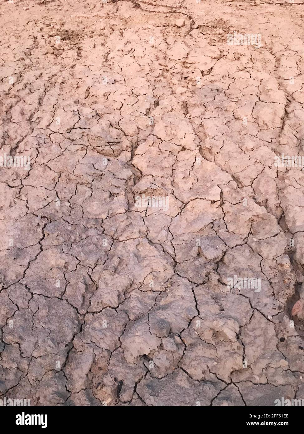 Drought field detail at the nature Stock Photo - Alamy