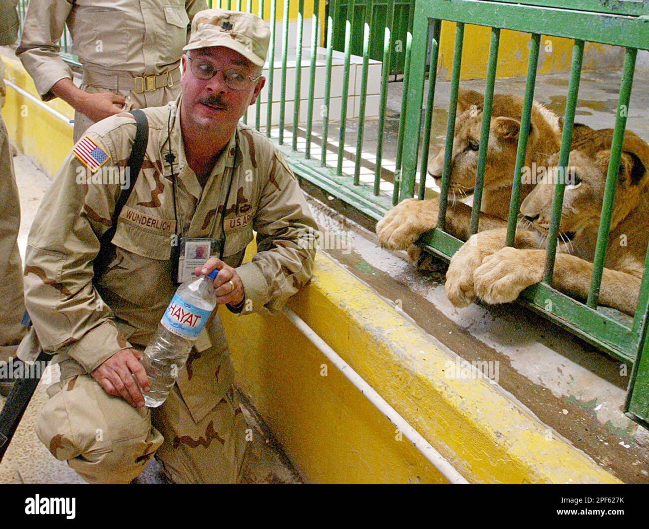 A U.S. Army soldier poses with lion cubs during the opening of the ...