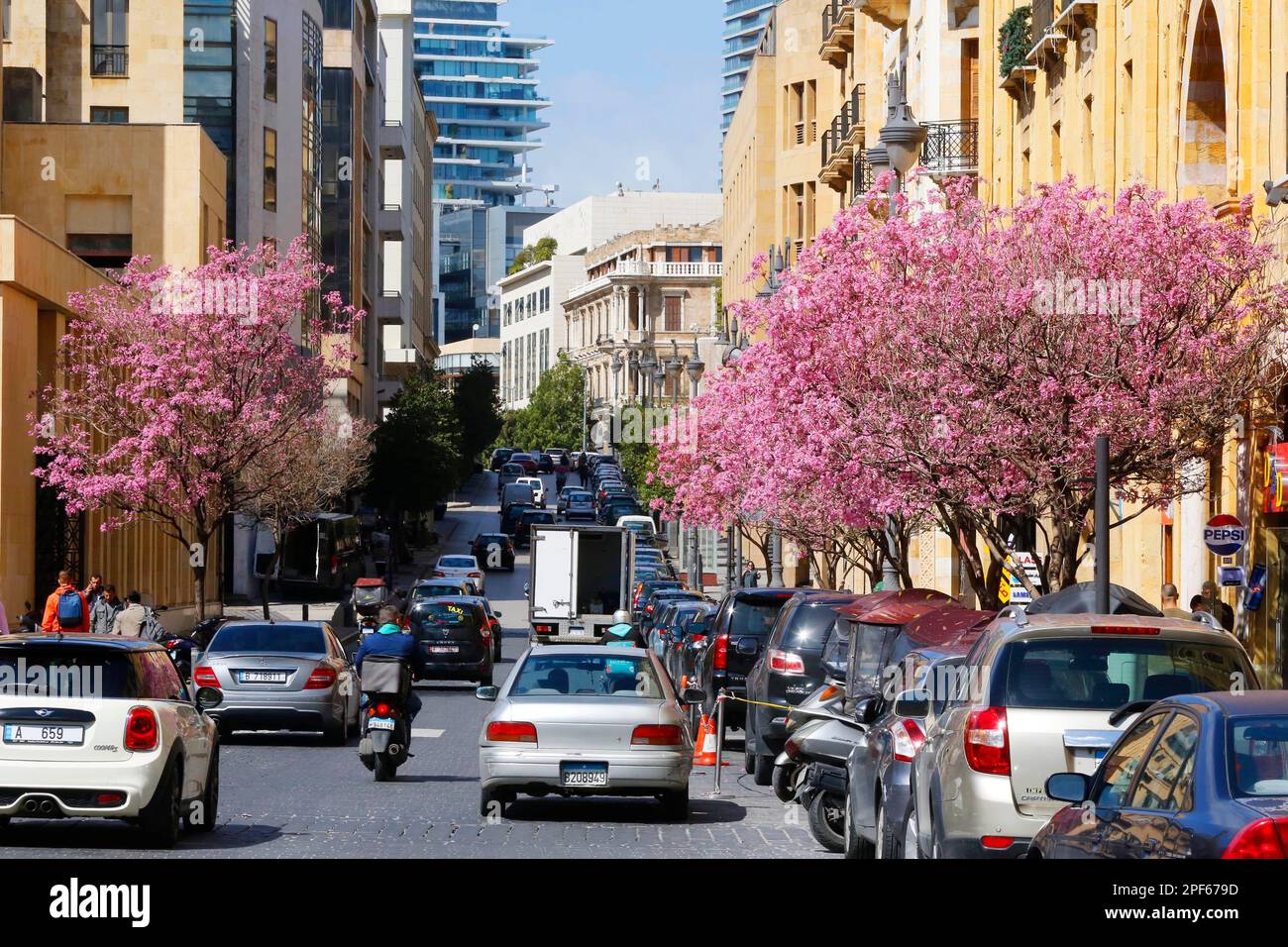 Beirut. 16th Mar, 2023. Photo taken on March 16, 2023 shows blooming ...