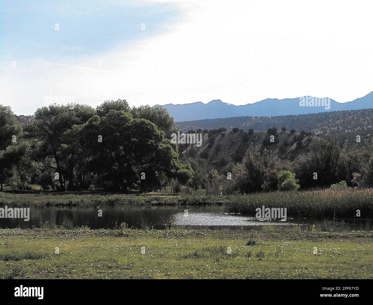 Canada Alamosa at the Monticello Box Ranch, shown May 31, 2003, in ...