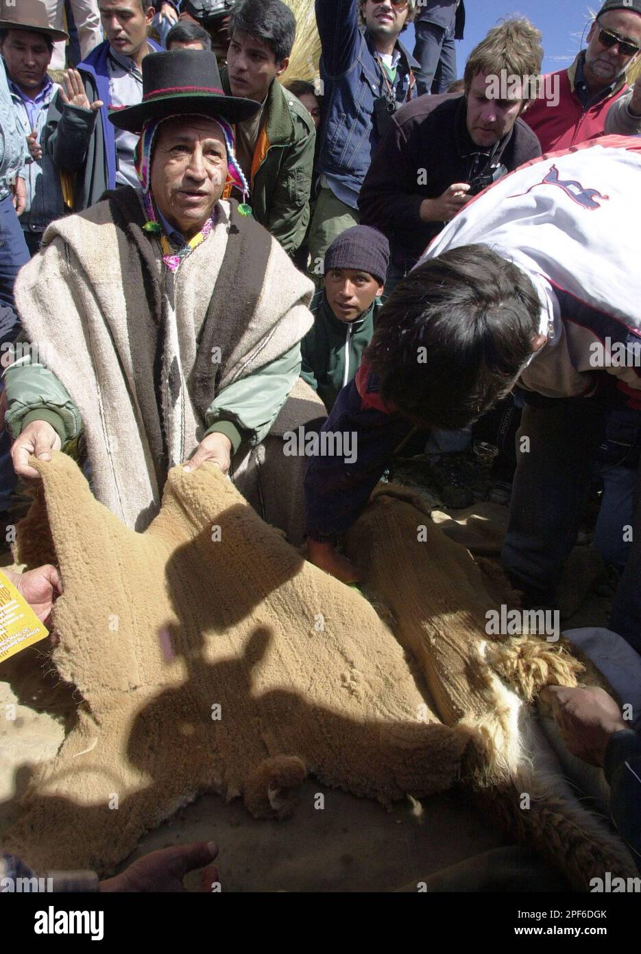 Peruvian President Alejandro Toledo holds vicuna wool during the ...