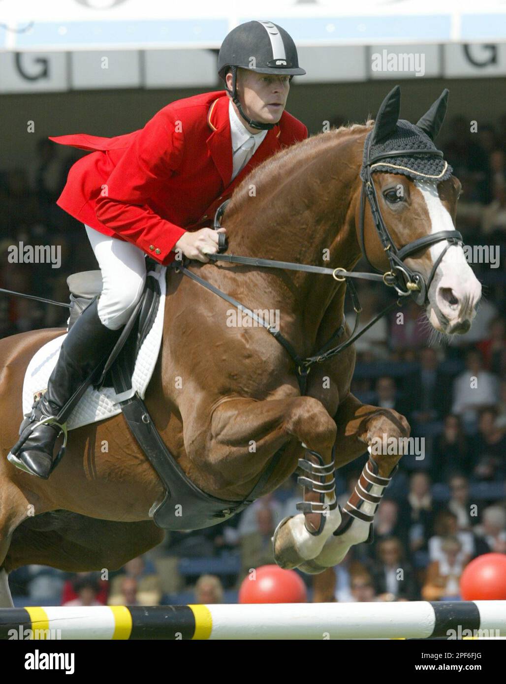 Der beste deutsche Reiter Marcus Ehning springt mit seinem Pferd "For ...
