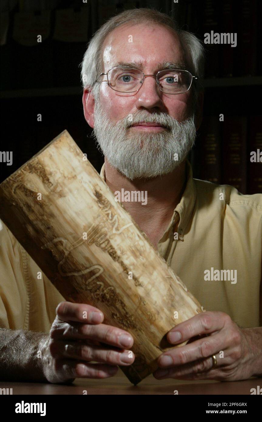 ** ADVANCE FOR WEEKEND JUNE 21-23 ** U.S. Forest Service entomologist ...