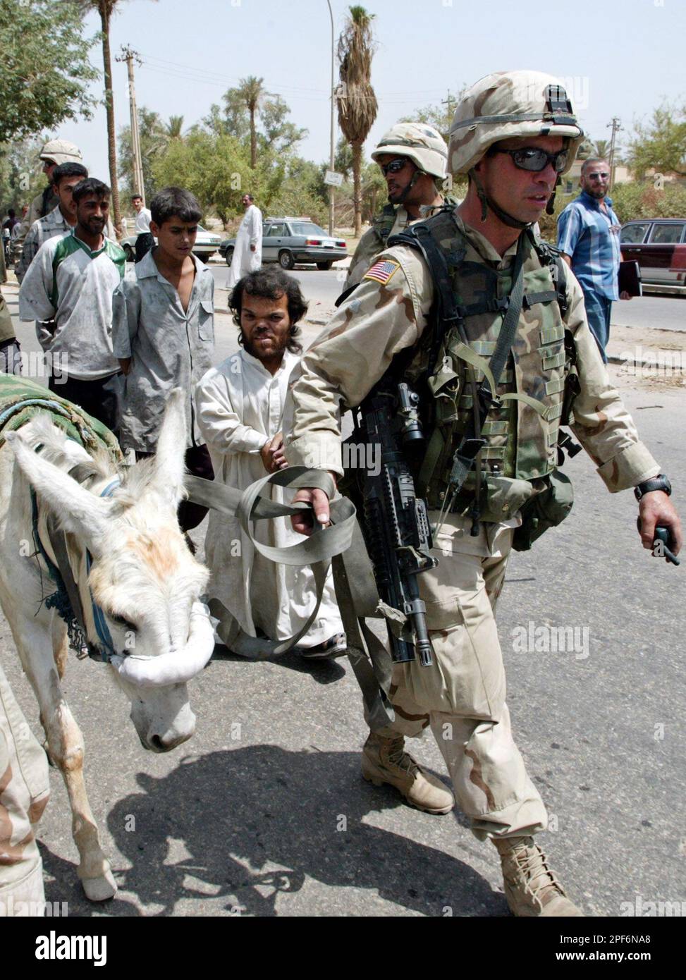 Soldiers Donkey Us Army