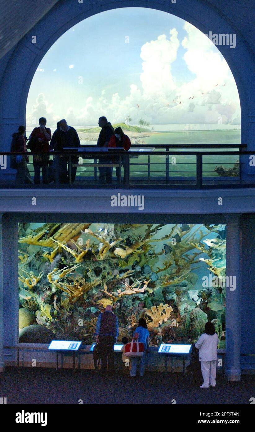 Visitors to the rechristened "Irma and Paul Milstein Family Hall of ...