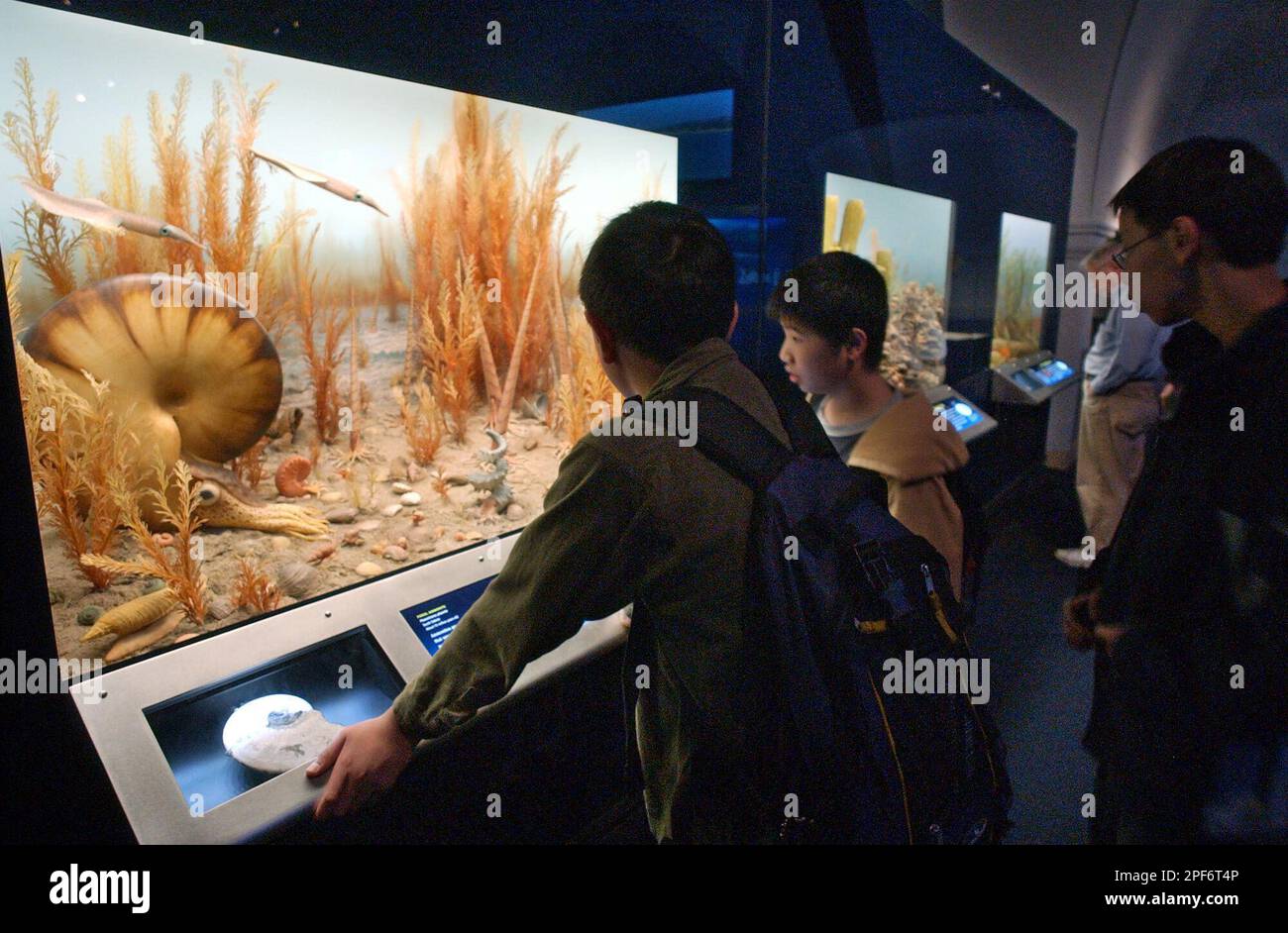 Visitors to the "Irma and Paul Milstein Family Hall of Ocean Life," at ...