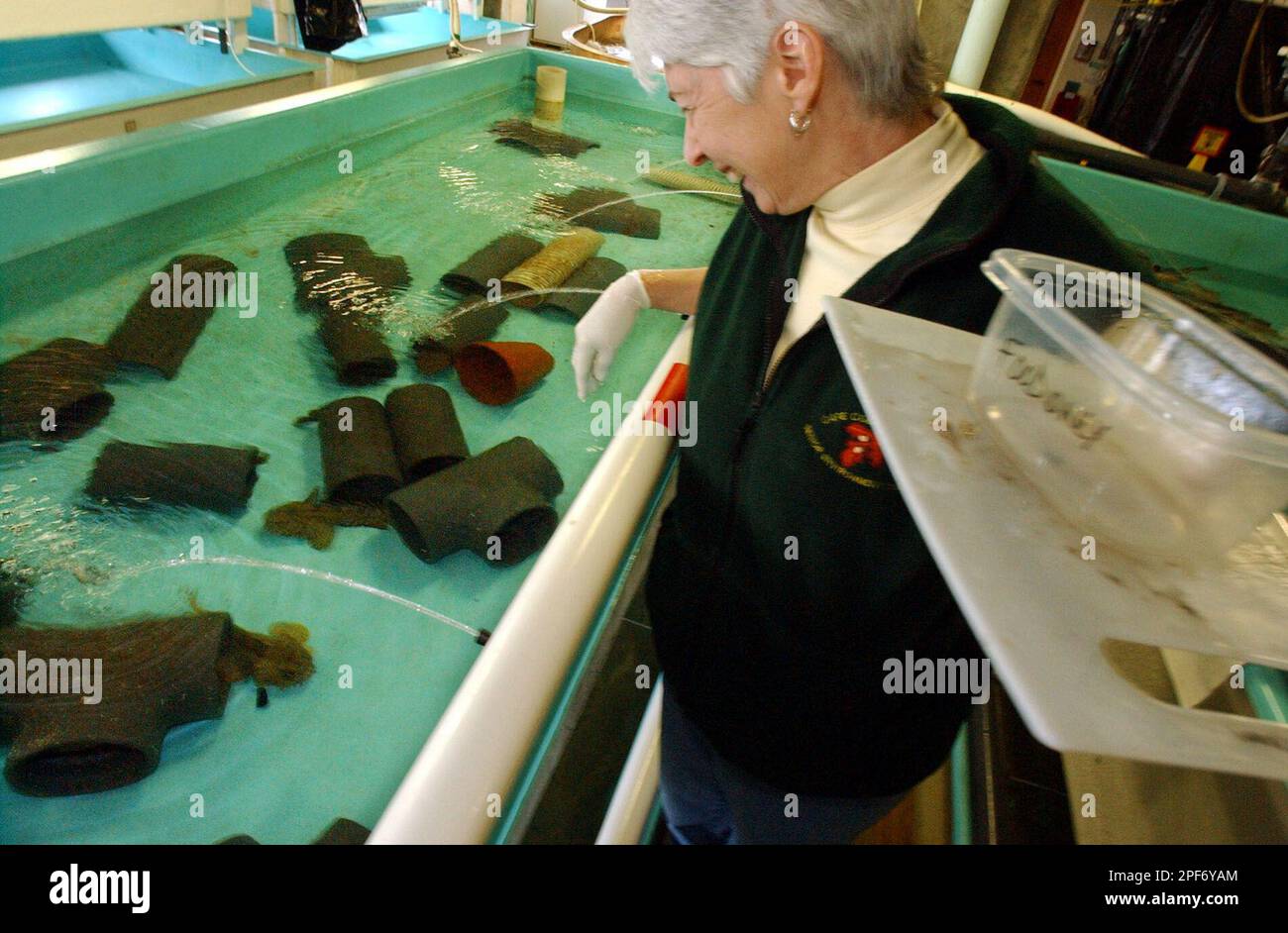 Judy Sheehy, a senior Americorps volunteer, pauses after feeding ...