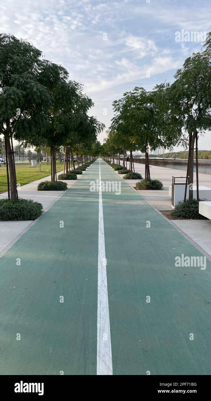 A scenic pathway with lush trees on both sides and smaller saplings to ...