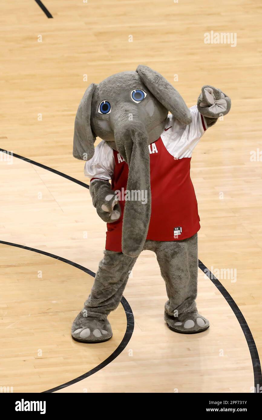BIRMINGHAM, AL - MARCH 16: Alabama mascot Big Al during the game ...