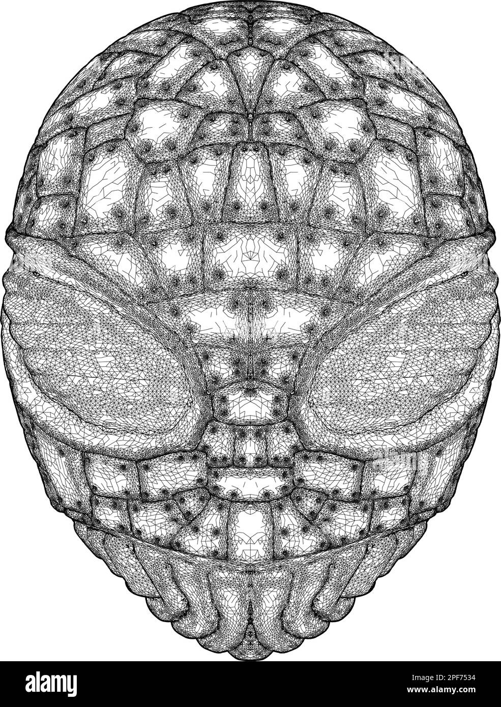 Horror Scary Mask Vector. Illustration Isolated On White Background. A ...