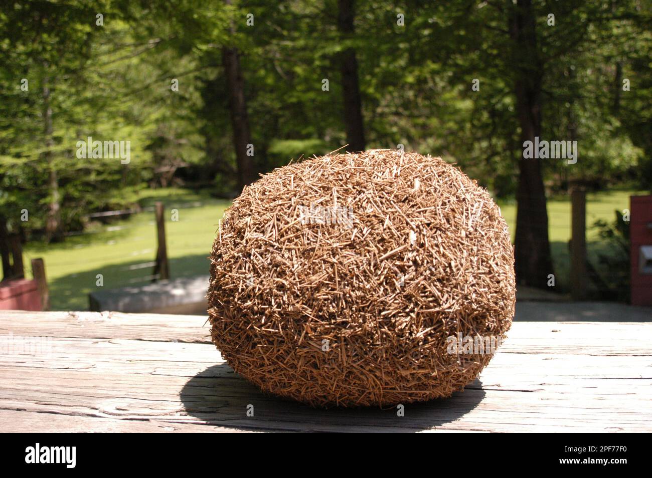 One of the hurricane balls left from Hurricane Betsy in 1965, is on ...
