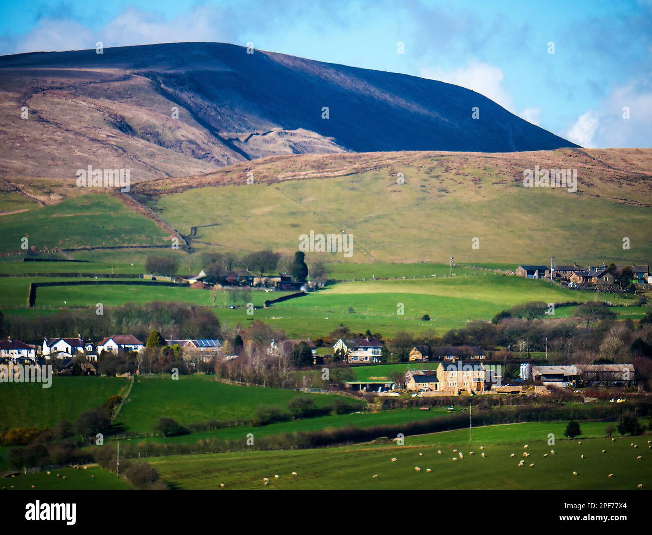 The countryside around Pendle Hill in lancashire is sheep country Stock ...