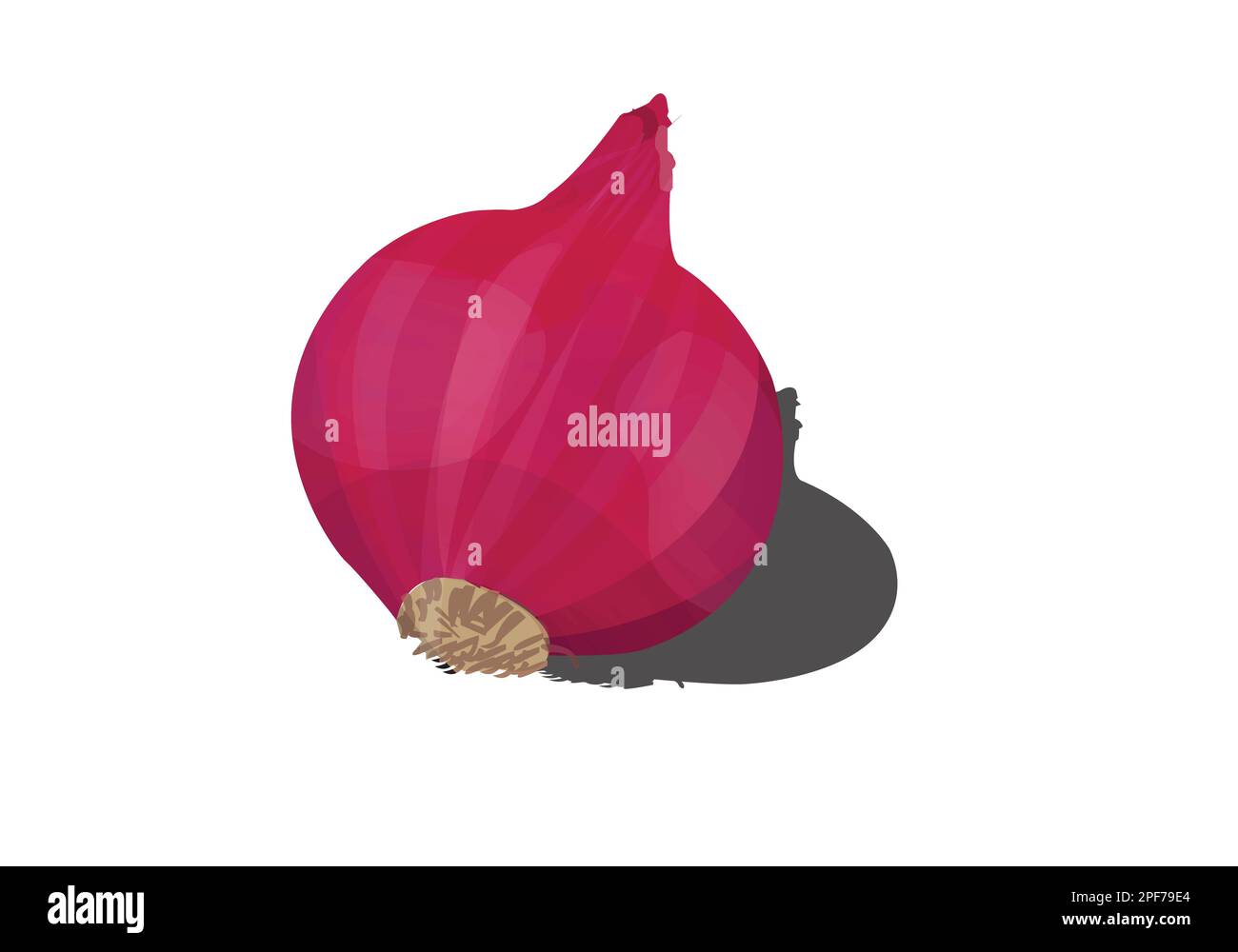 Whole onion and cut onion. Flat simple green onion and red onion design ...