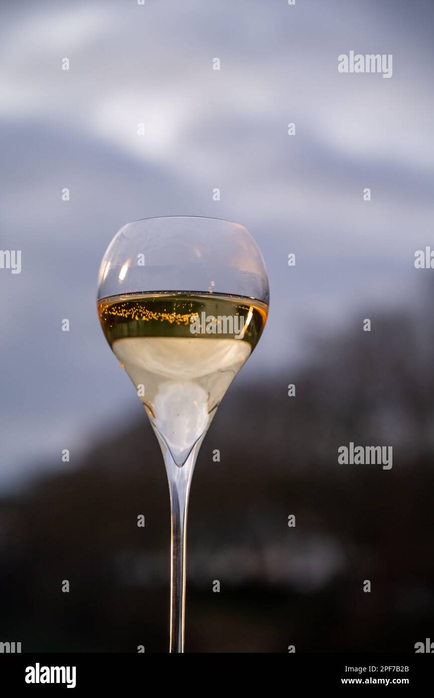 Glass of french sparkling white wine with bubbles champagne outdoor ...