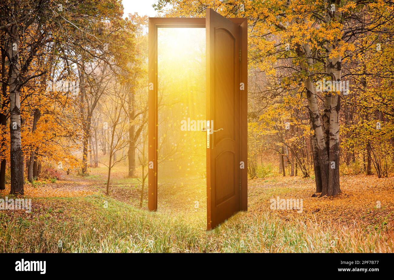 Autumn color open autumn color open dream hi-res stock photography and ...