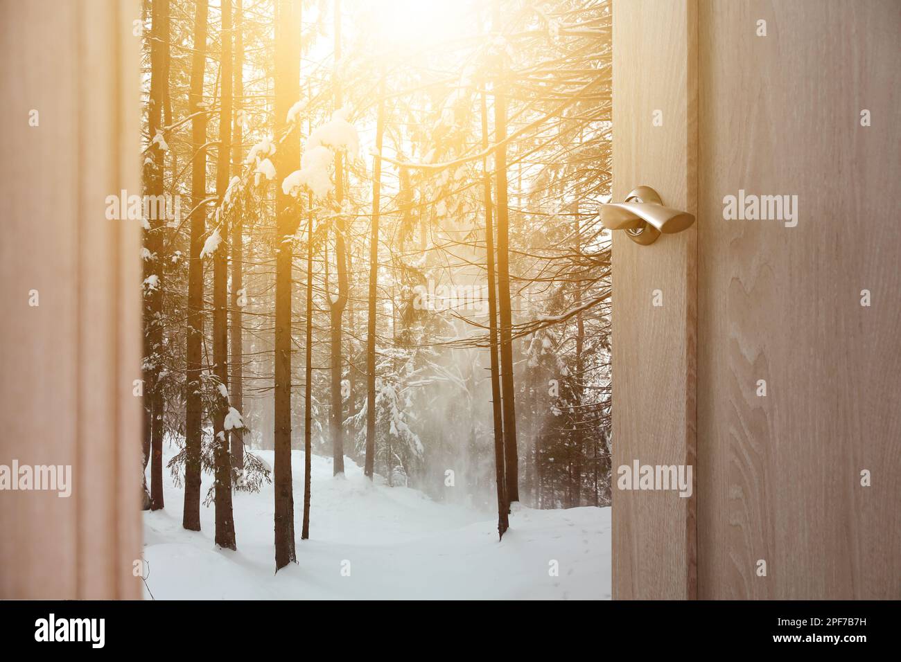 View on snowy forest through open door Stock Photo - Alamy