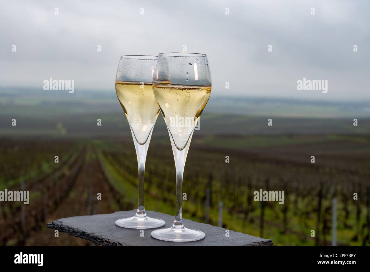Winter tasting of brut champagne sparkling wine outdoor with view on ...