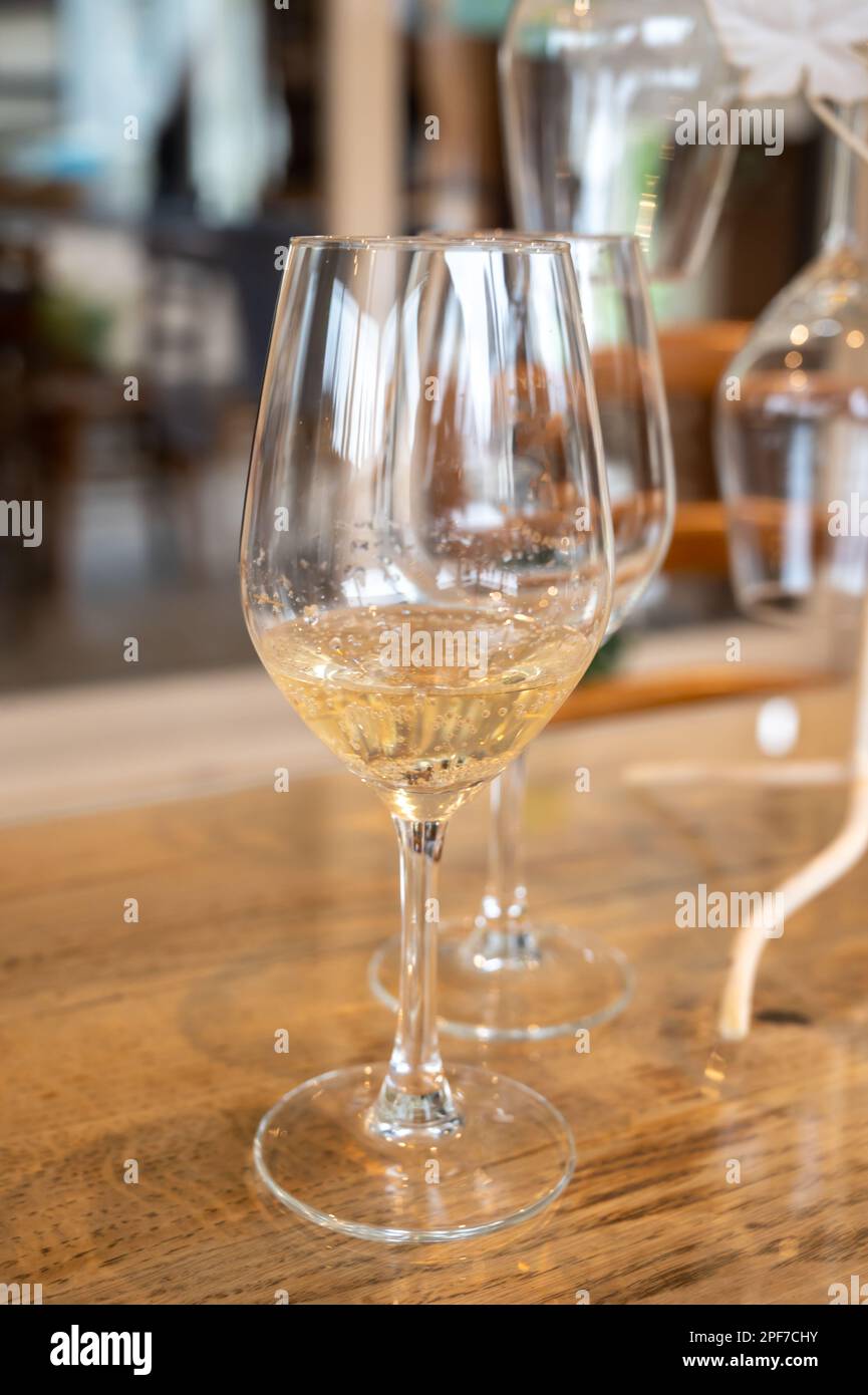 Tasting glass with cold brut Champagne sparkling wine in cellars of ...