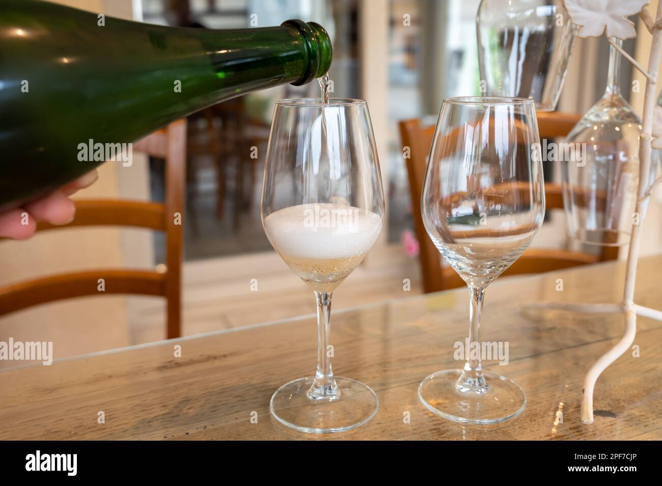 Tasting glass with cold brut Champagne sparkling wine in cellars of ...