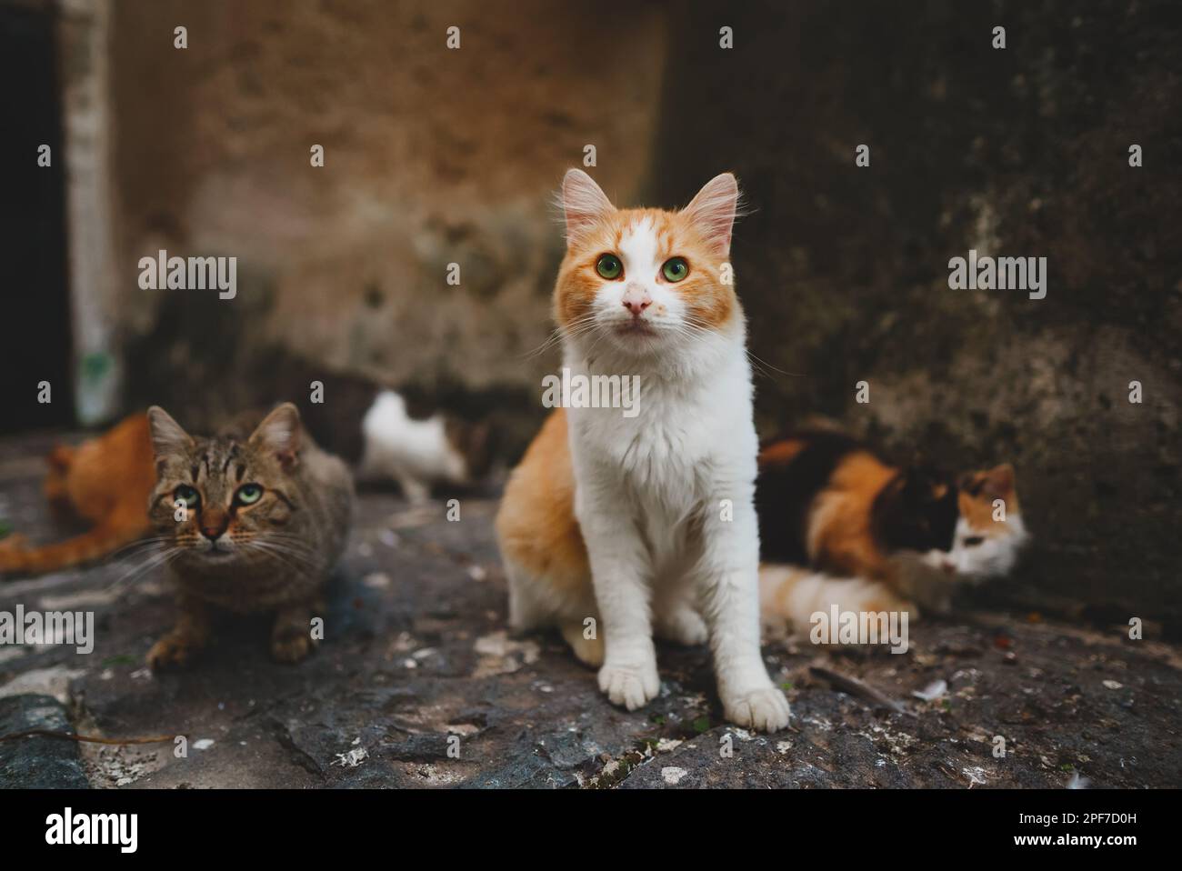 Homeless and empathy hi-res stock photography and images - Alamy