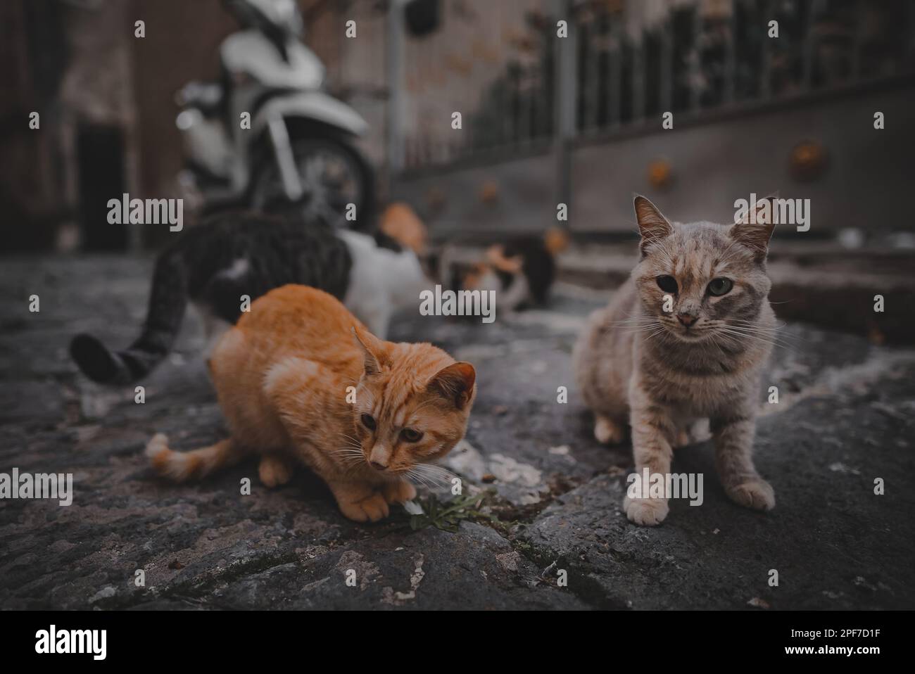 Group of homeless eating hi-res stock photography and images - Alamy