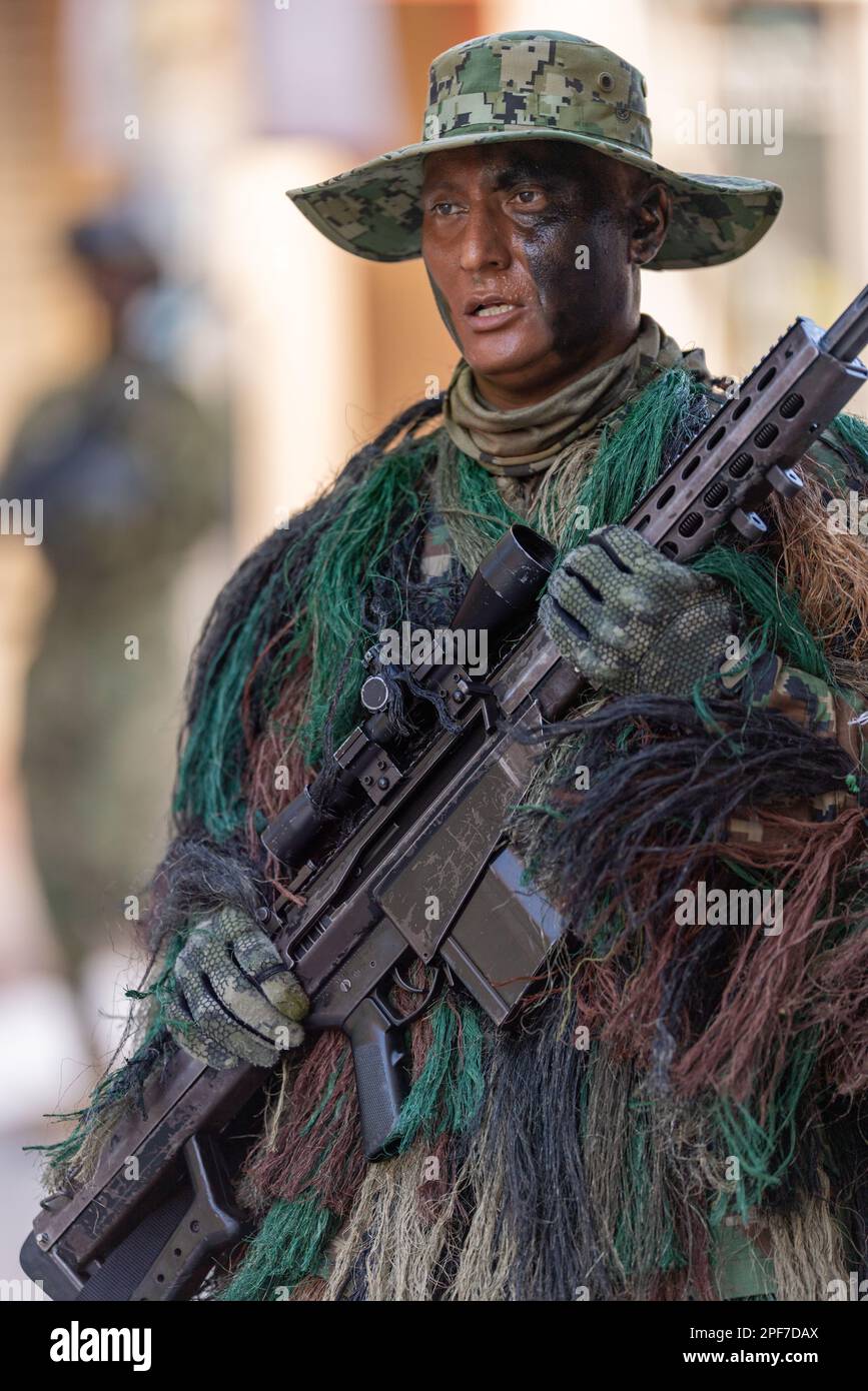 Matamoros, Tamaulipas, Mexico - September 16, 2022: Desfile 16 de ...