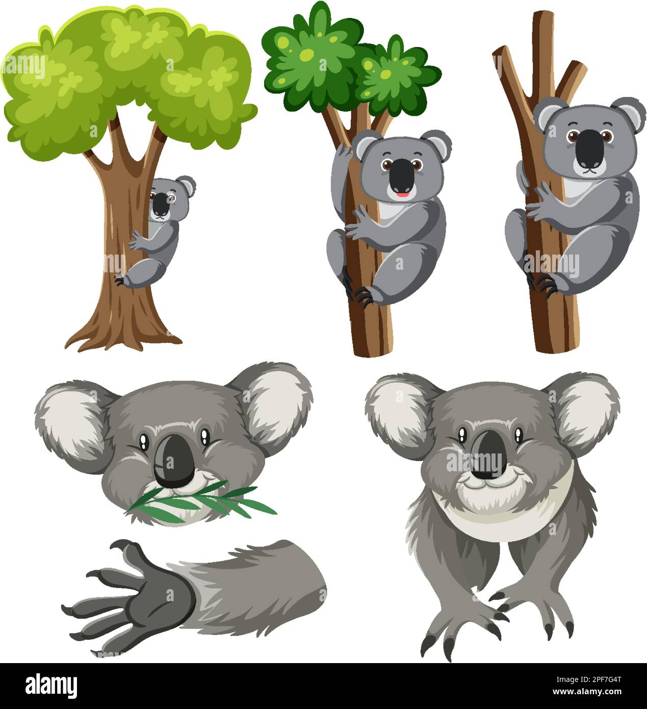 Set of cute koala cartoon character illustration Stock Vector Image ...