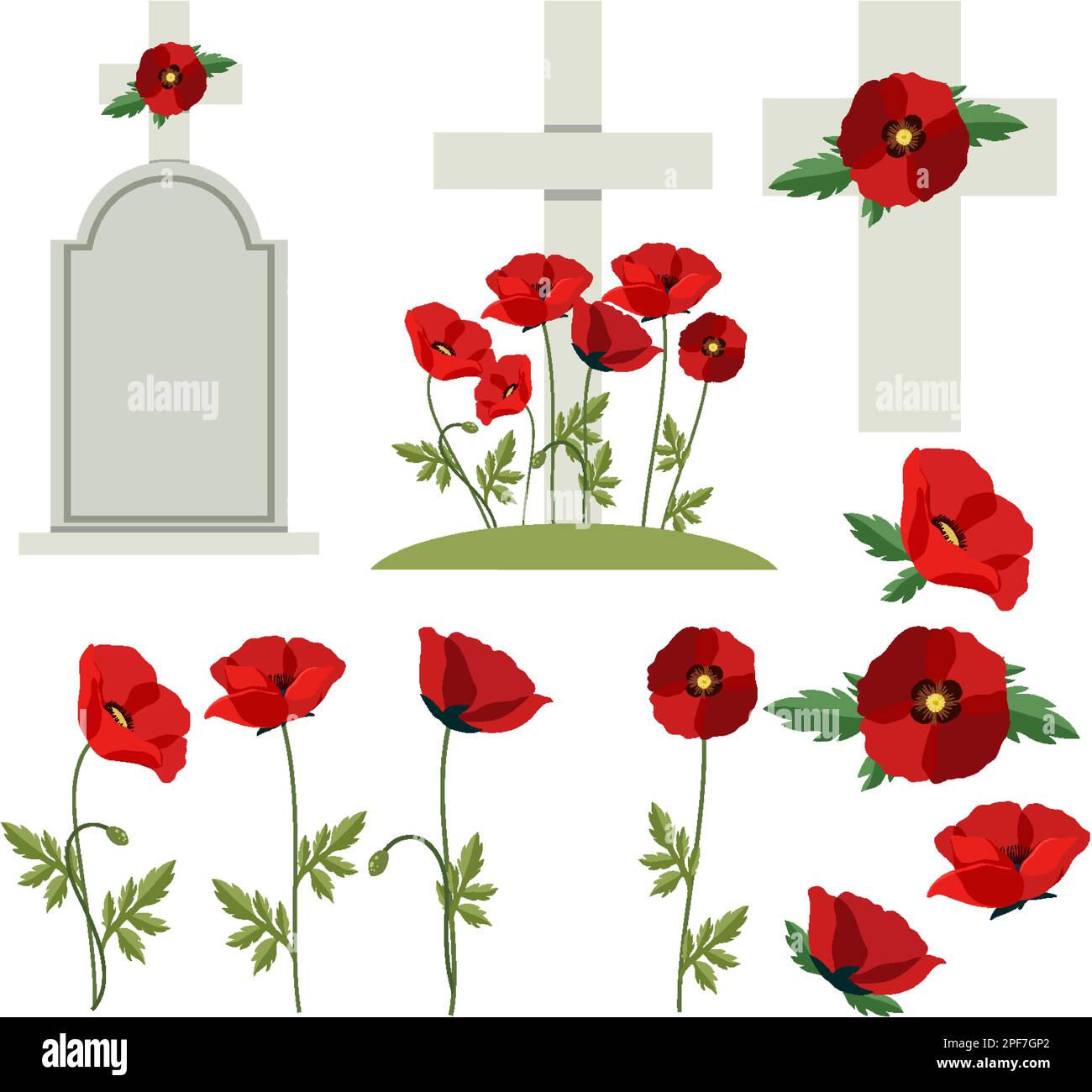 Set of mix red poppy illustration Stock Vector Image & Art - Alamy