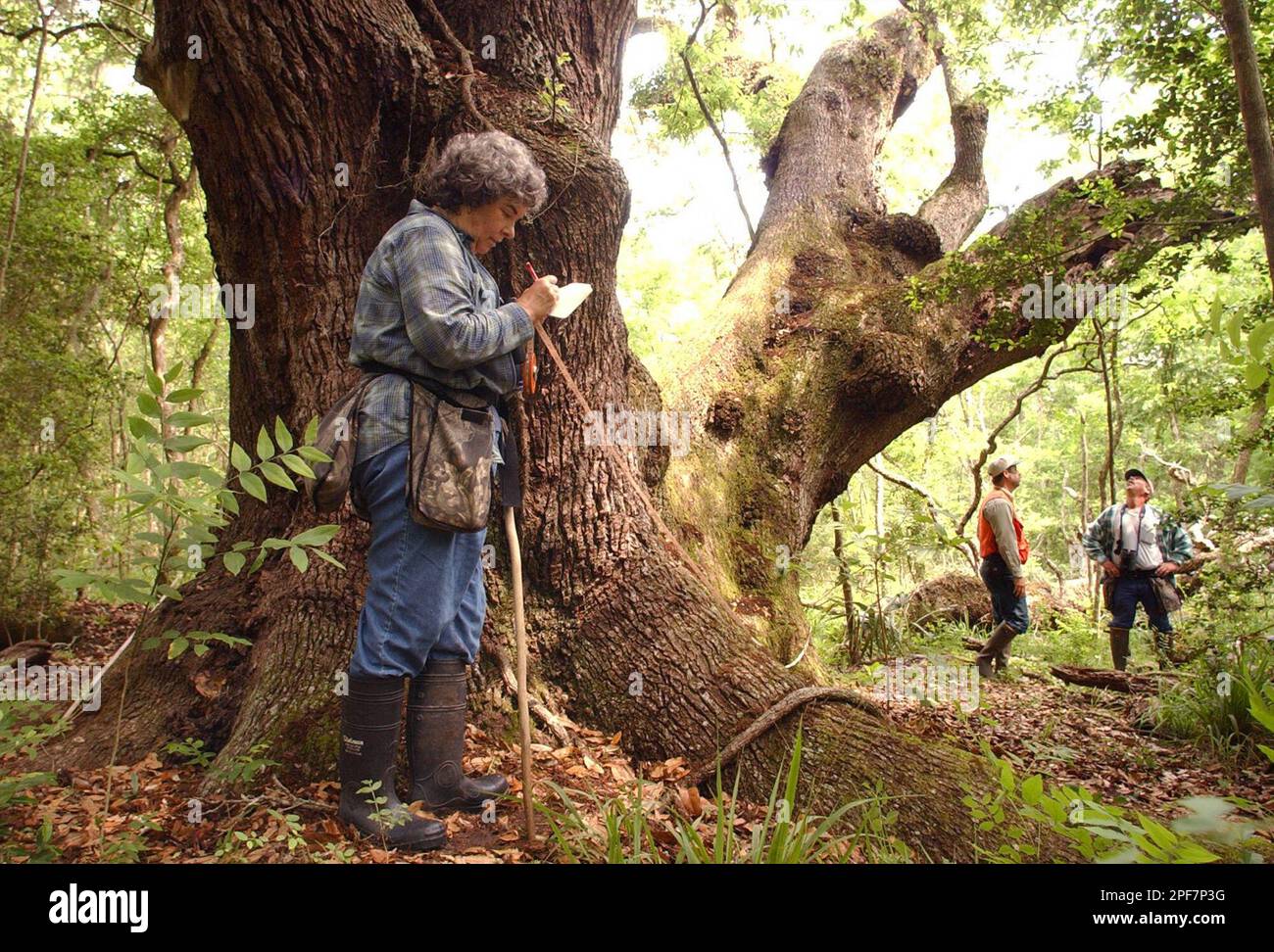 Sandi Elsik, of Rice University; Mickey Merritt, of Texas Forest ...