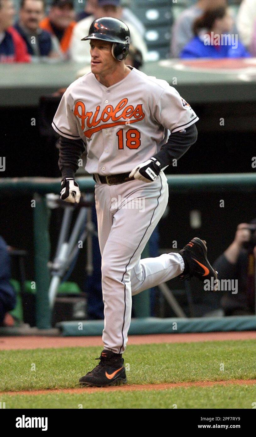 Jeff Conine Baseball Photos