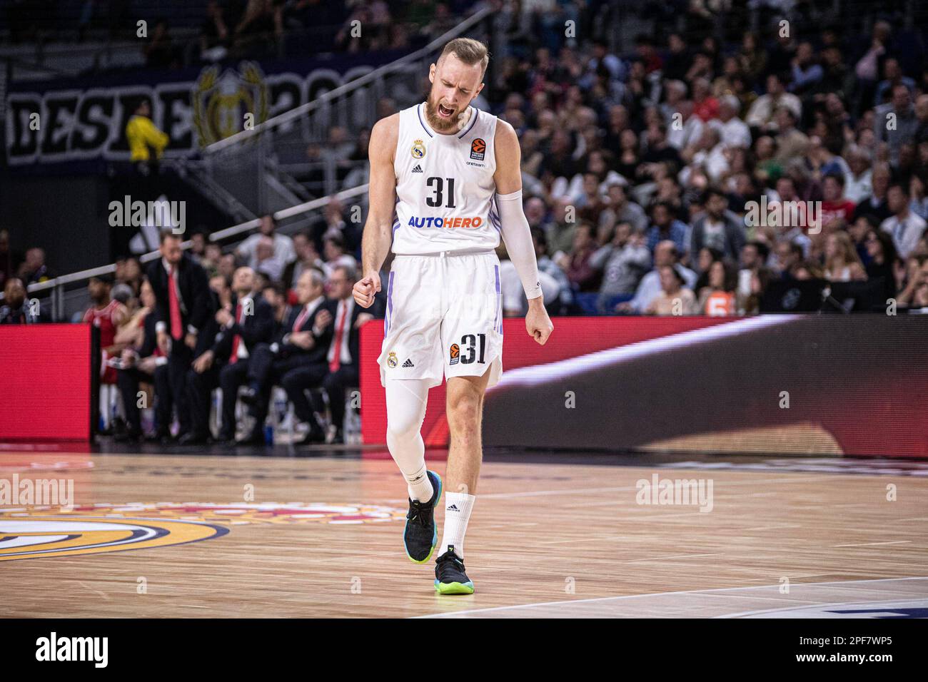 Milan musa hi-res stock photography and images - Alamy