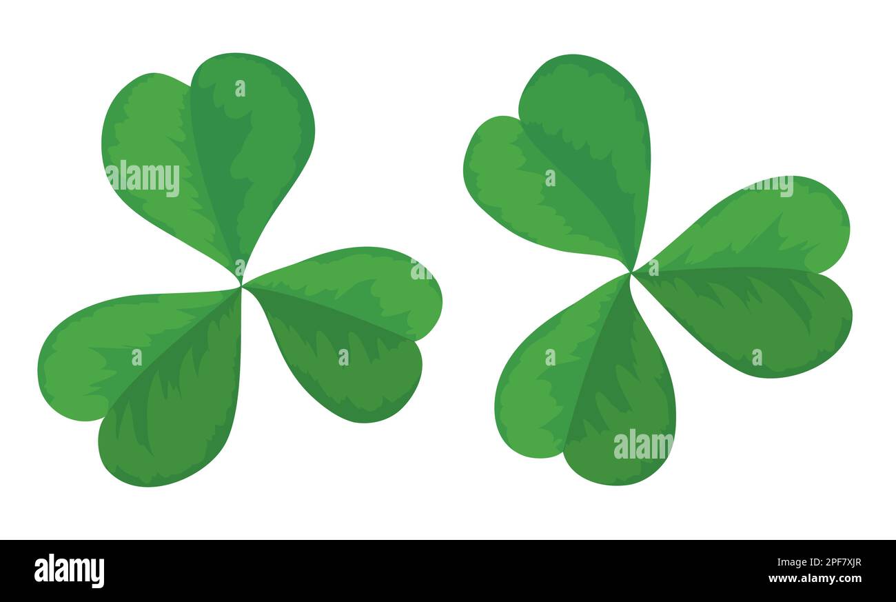 Set with two three-leaf clovers. Green shamrocks in cartoon style over ...