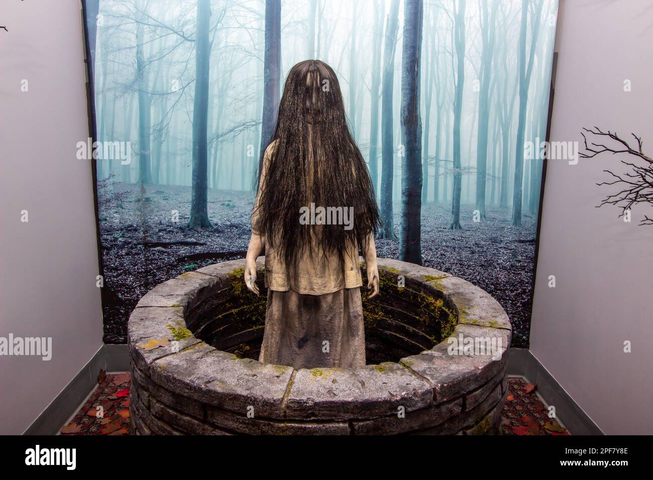 Small Girl In A Well Display At Local Horror Shop Stock Photo - Alamy