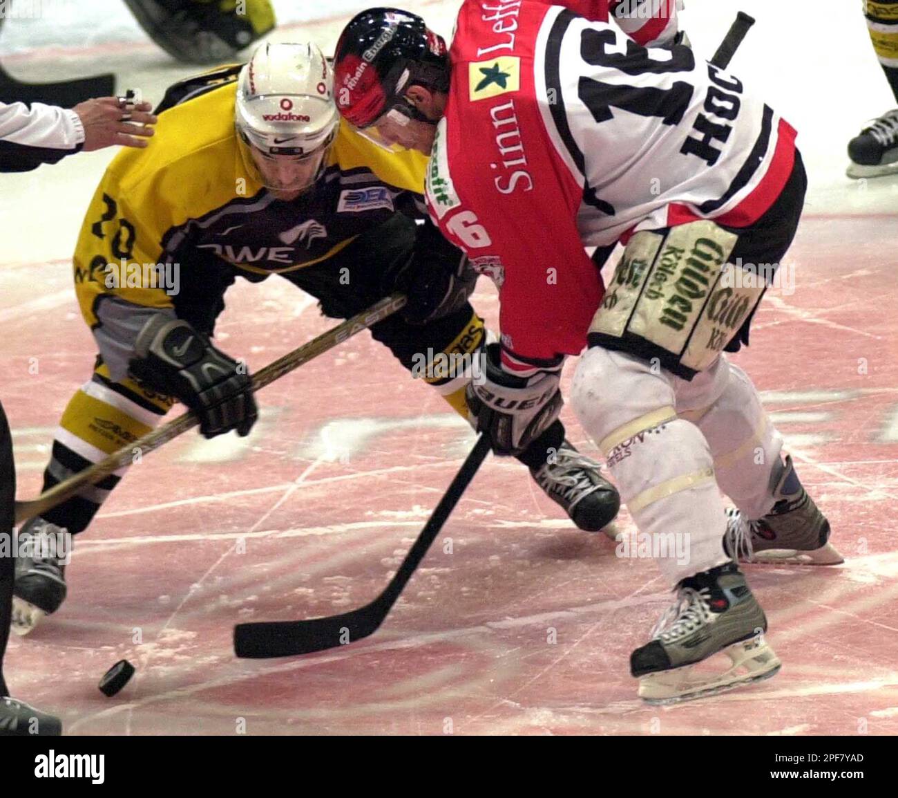Koelns Eishockeyspieler Robert Hock, rechts, kaempft um den Puck mit ...