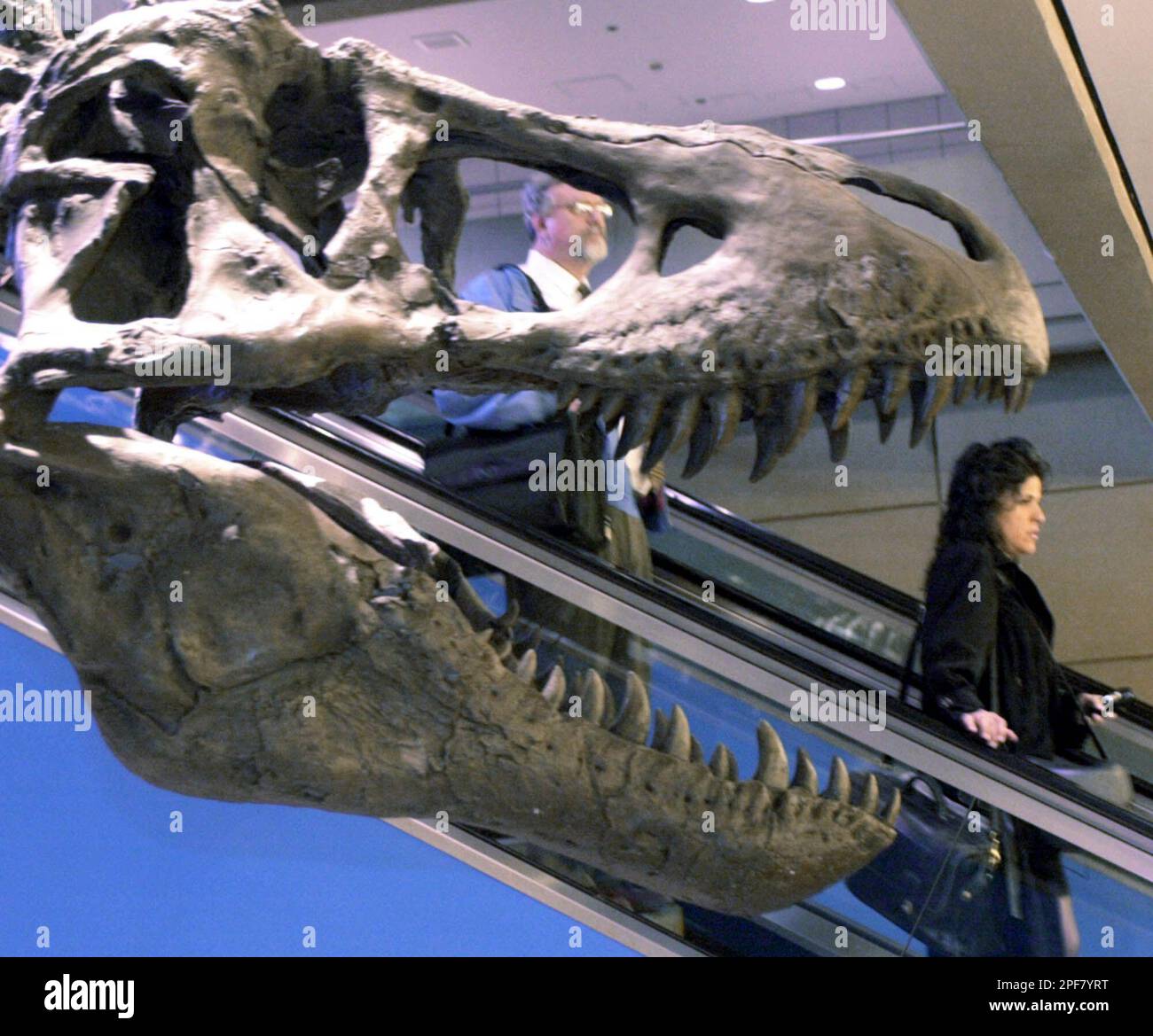 Travelers on the escalator at the Pittsburgh International Airport in ...