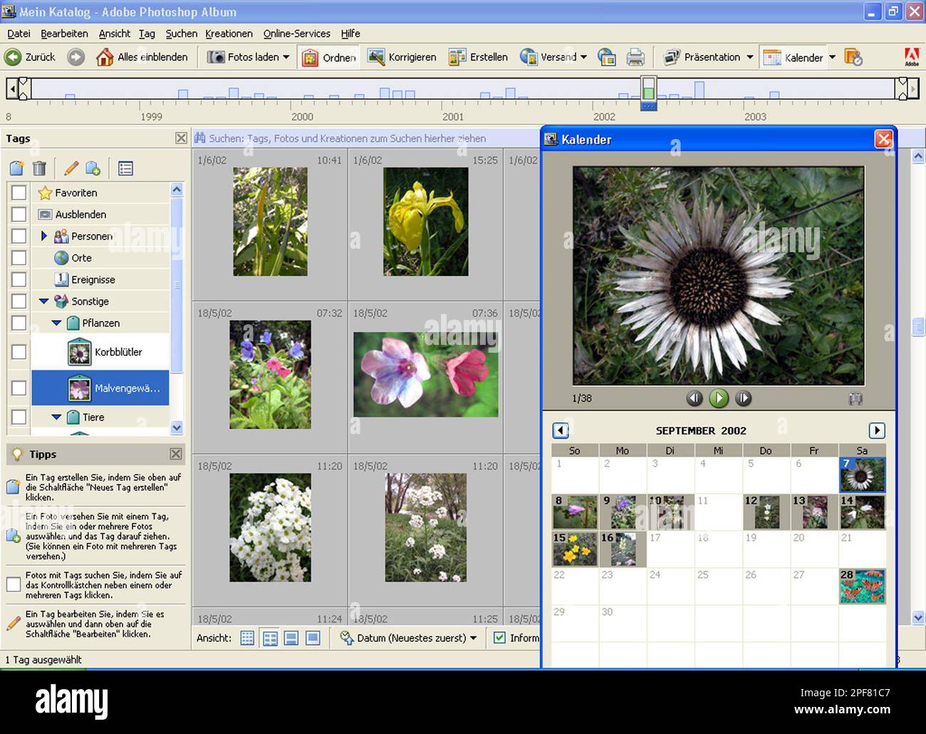 ** SCREENSHOT ** Die neue Software Photoshop Album von Adobe ...