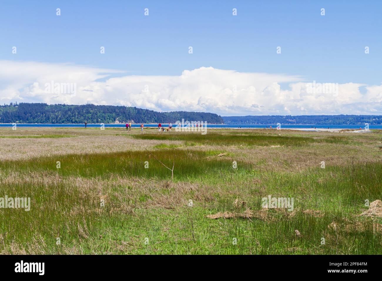 Dosewallips state park hi-res stock photography and images - Alamy