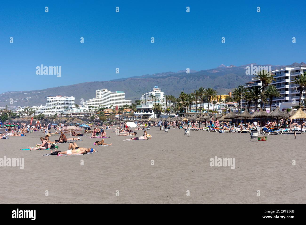 Playas de Troya public beach, Playa de las Américas, Tenerife, Canary ...