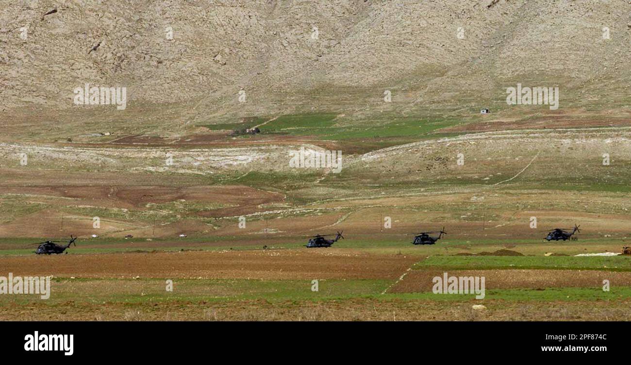 Helicopters of the U.S. Army's 173rd Airborne Brigade are seen at the ...