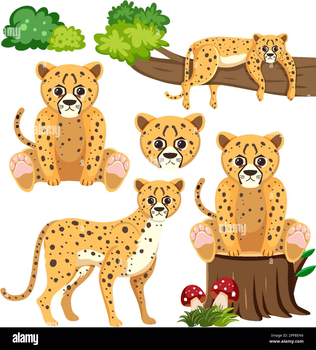 Set of cute cheetah cartoon character illustration Stock Vector Image ...